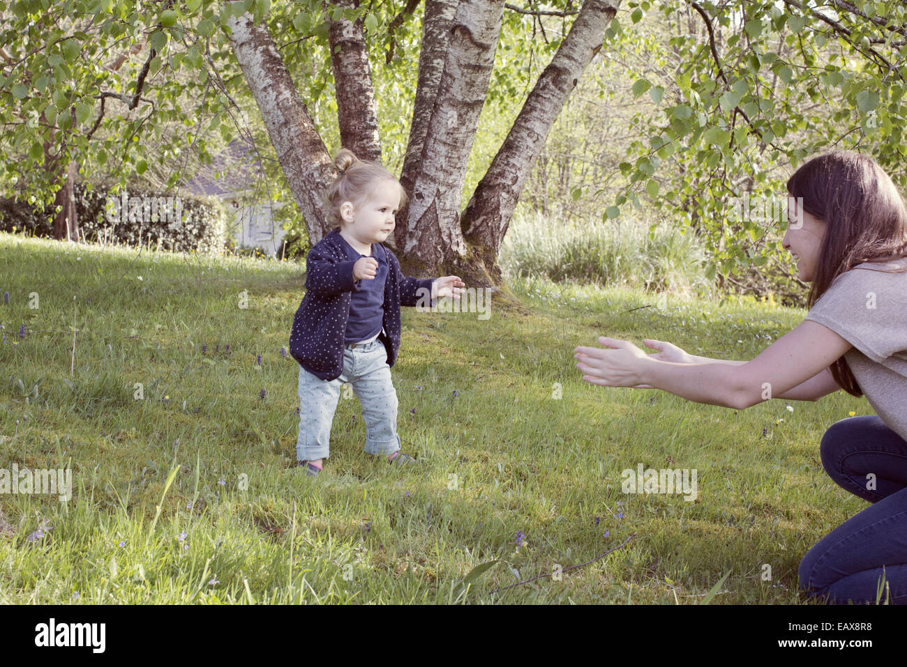 Baby Taking Its First Steps High Resolution Stock Photography and ...