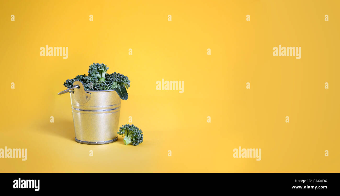 Broccoli in a bucket on yellow background Stock Photo - Alamy