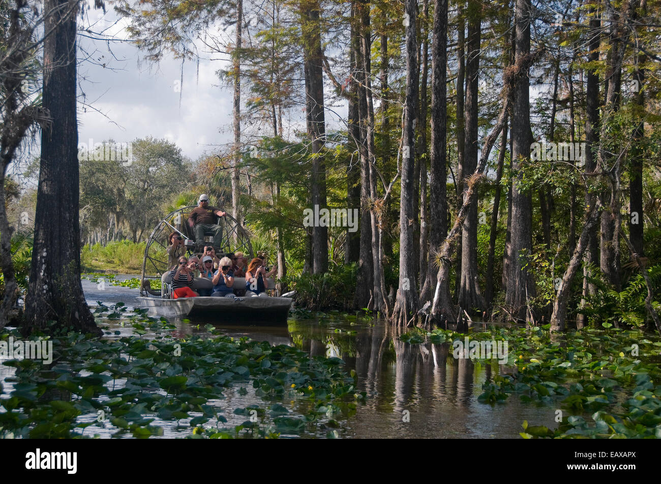 Airboats (like this one), swamp buggies and wading are a few ways to ...