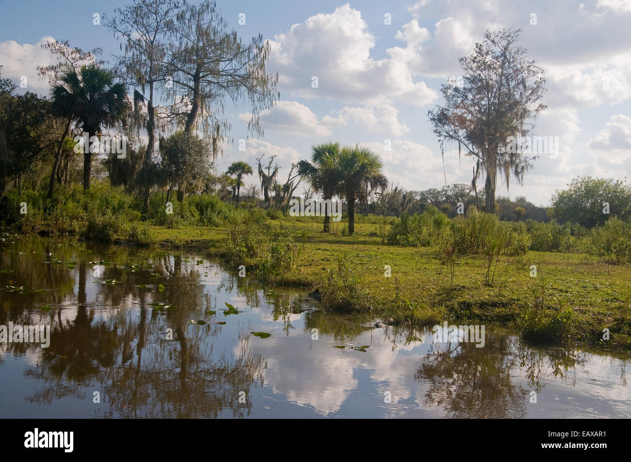 Beautiful waterway such as this one flows through the wetlands of the ...