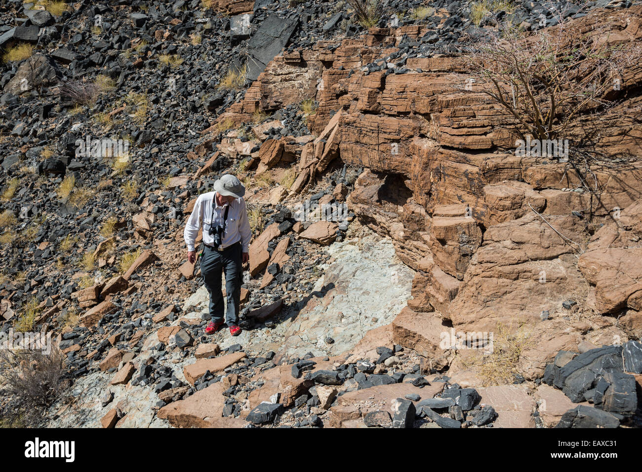 Geologist hi-res stock photography and images - Alamy
