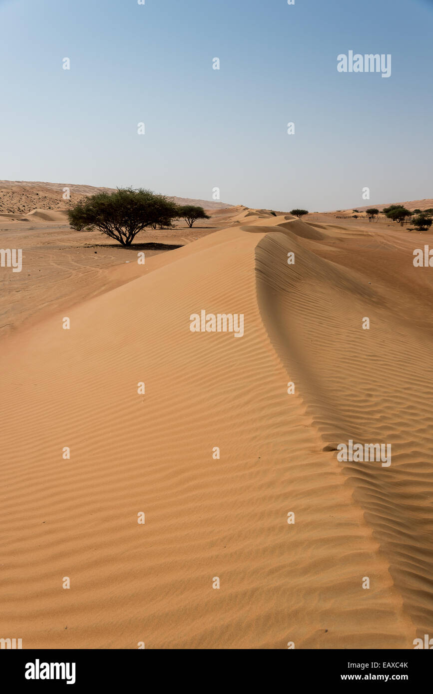 Linear dunes oman hi-res stock photography and images - Alamy