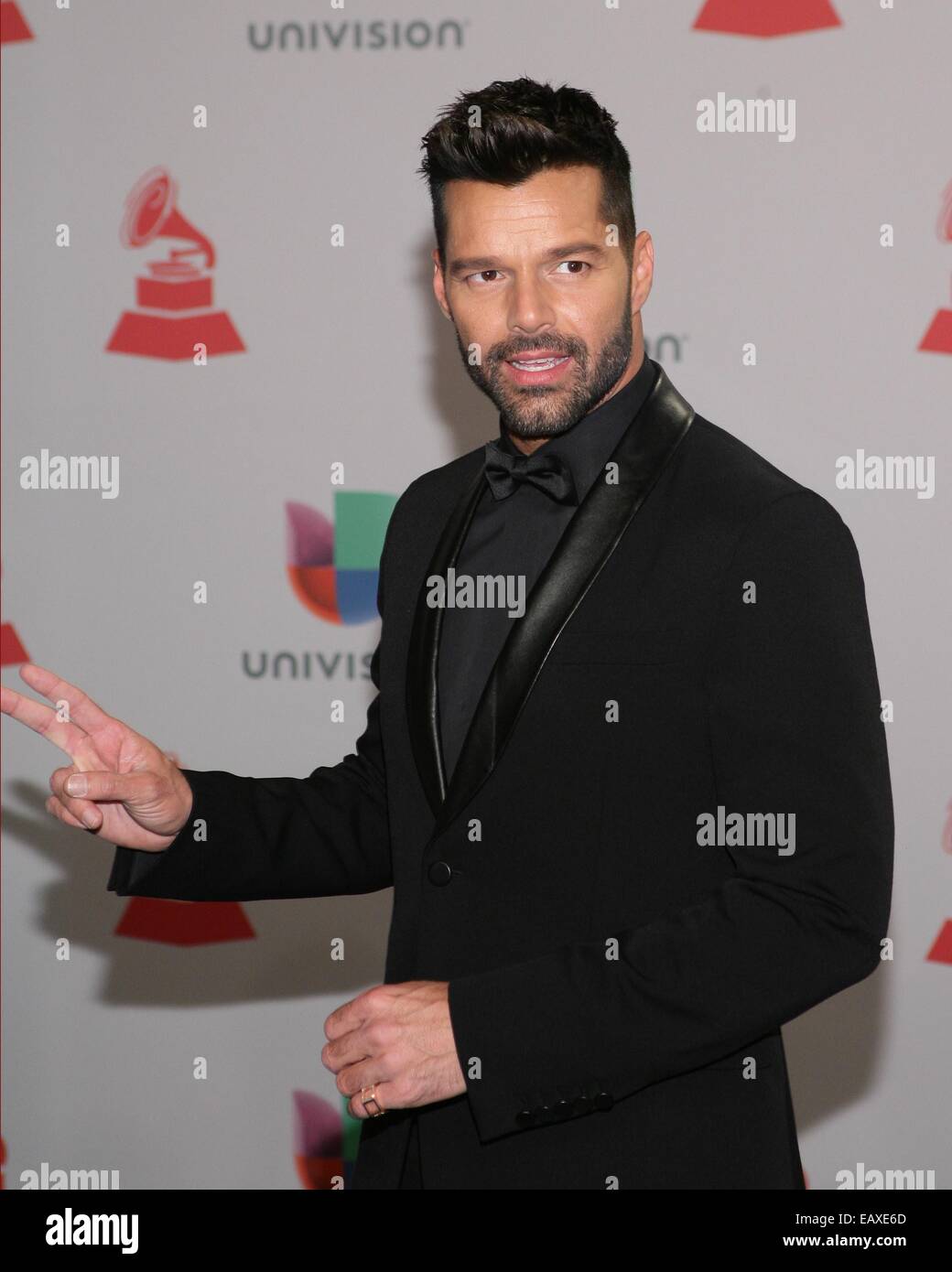 Las Vegas, Nevada, USA. 20th Nov, 2014. Ricky Martin at arrivals for ...