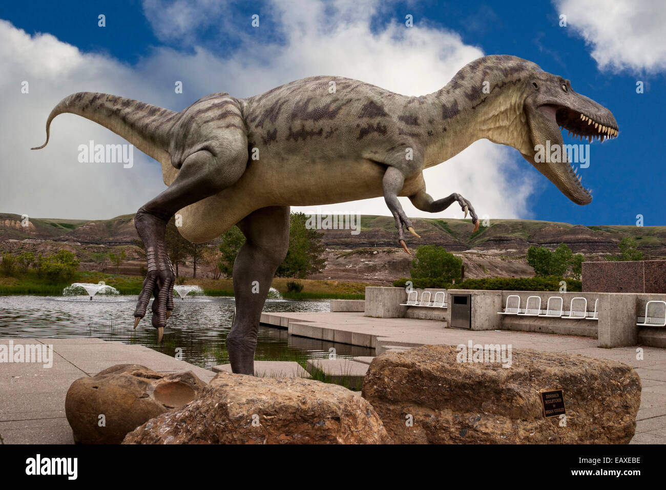 Replica statue of Tyrannosaurus Rex outside Royal Tyrell Museum ...