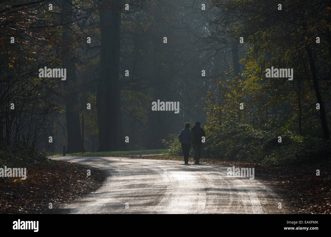 Woman walking down country lane hi-res stock photography and images - Alamy