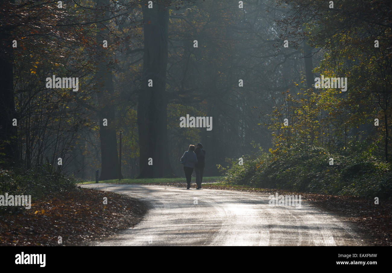 Woman walking down country lane hi-res stock photography and images - Alamy