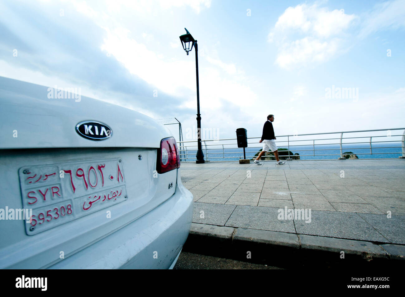 License plate on car from hi-res stock photography and images - Alamy