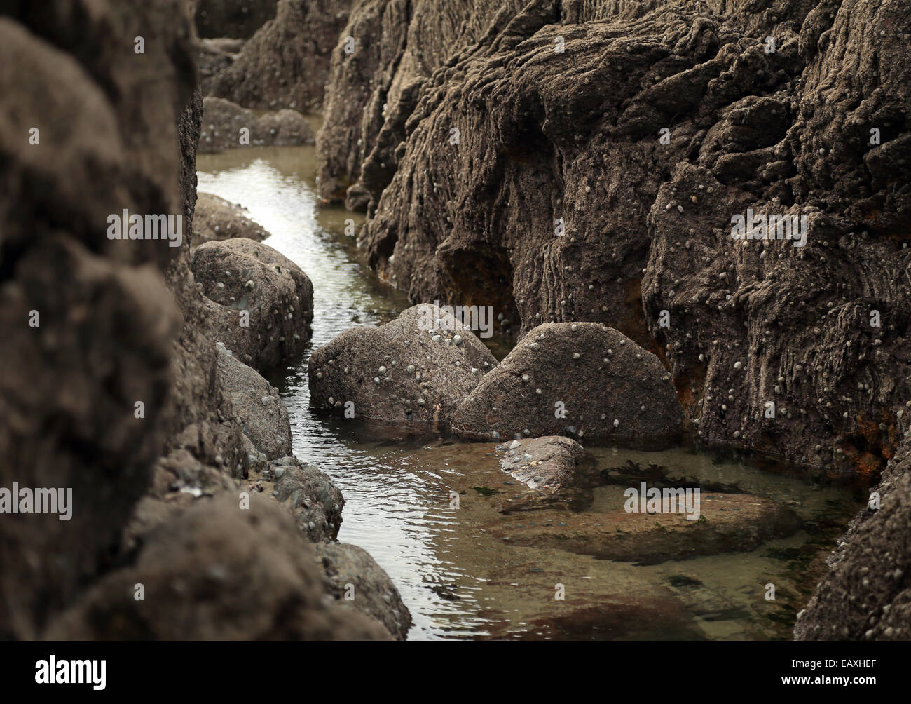 Mothecombe beach hi-res stock photography and images - Alamy