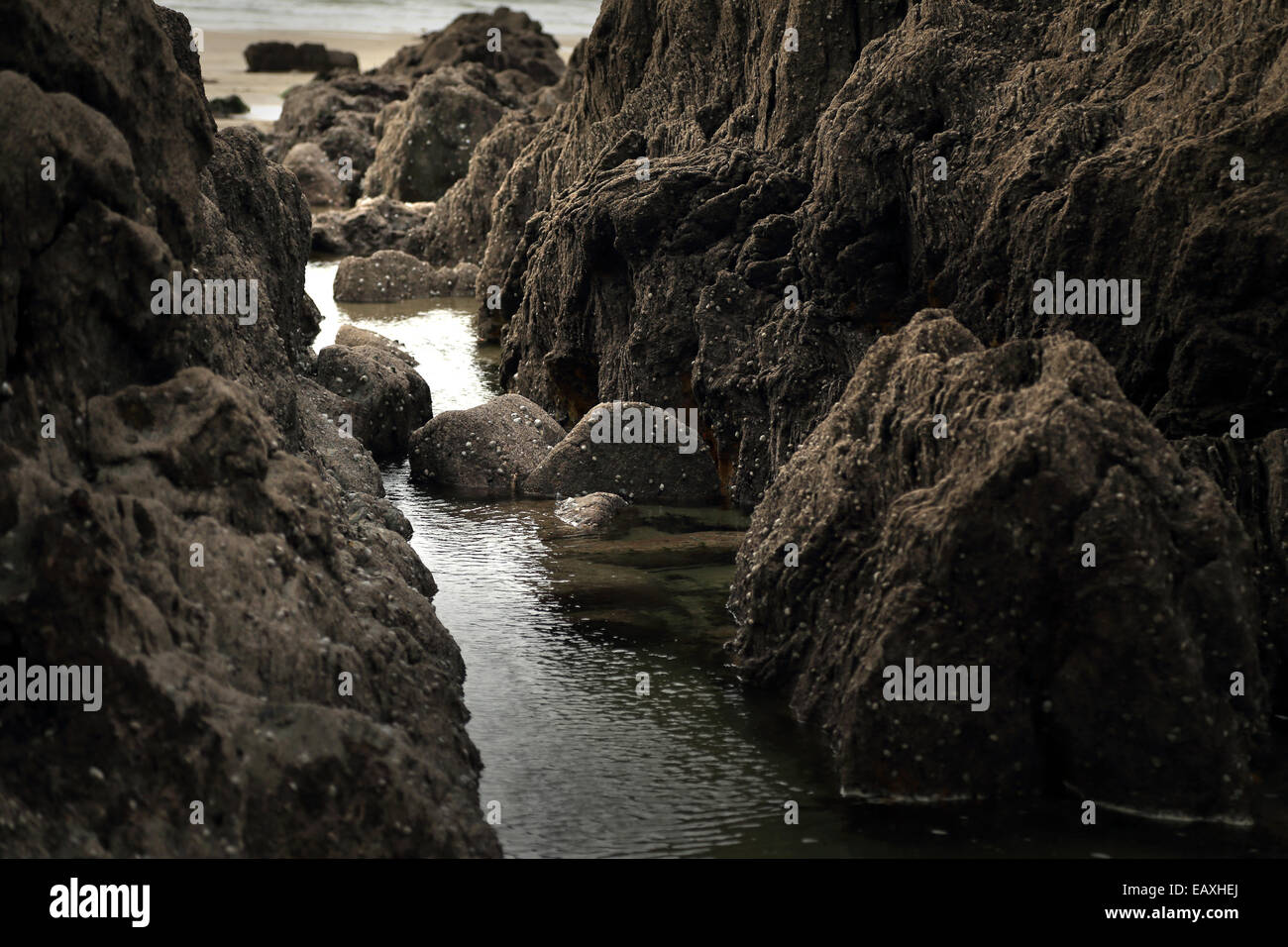 Rockpool on Mothecomb Beach, South Hams District, Devon Stock Photo - Alamy
