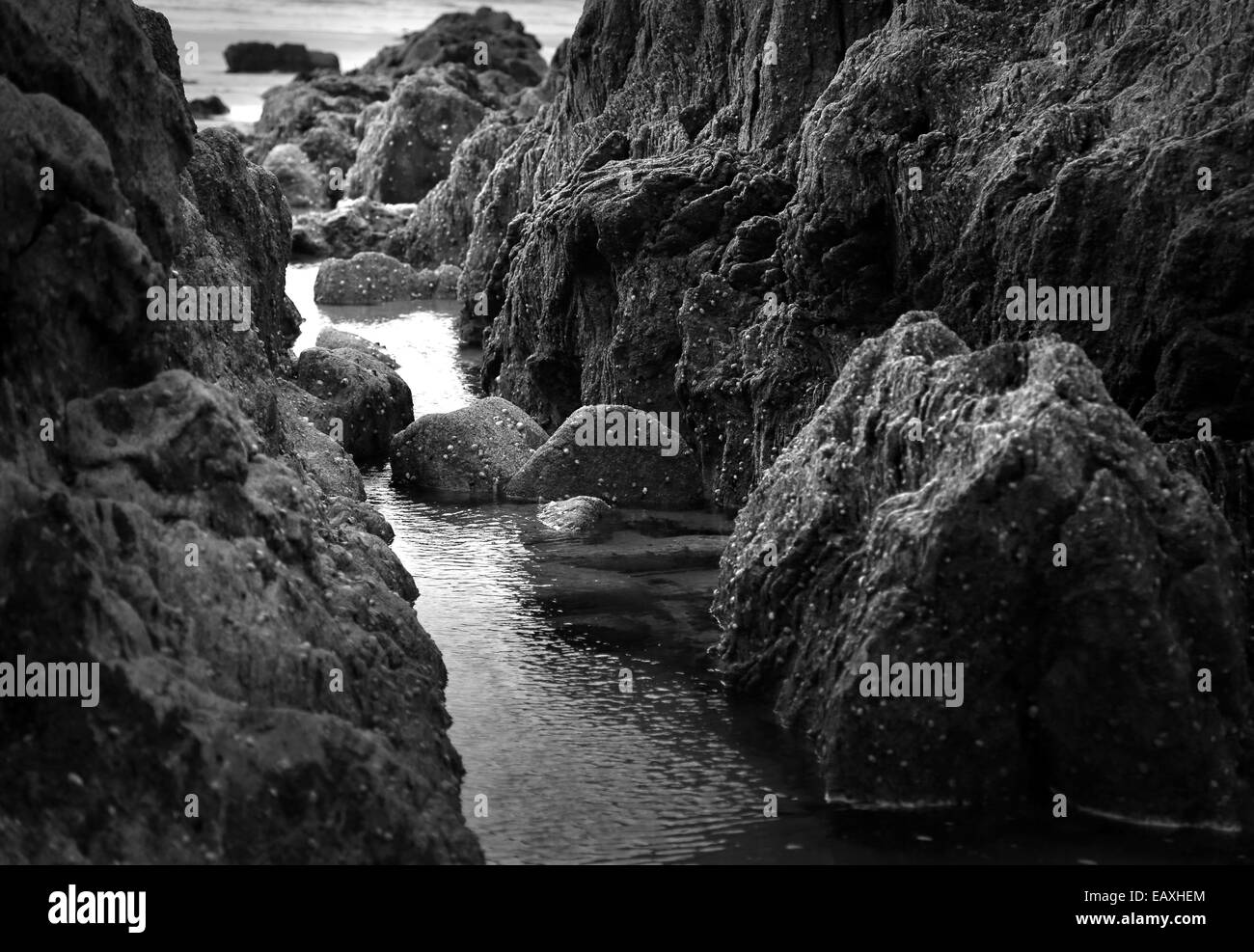 Mothecombe beach hi-res stock photography and images - Alamy