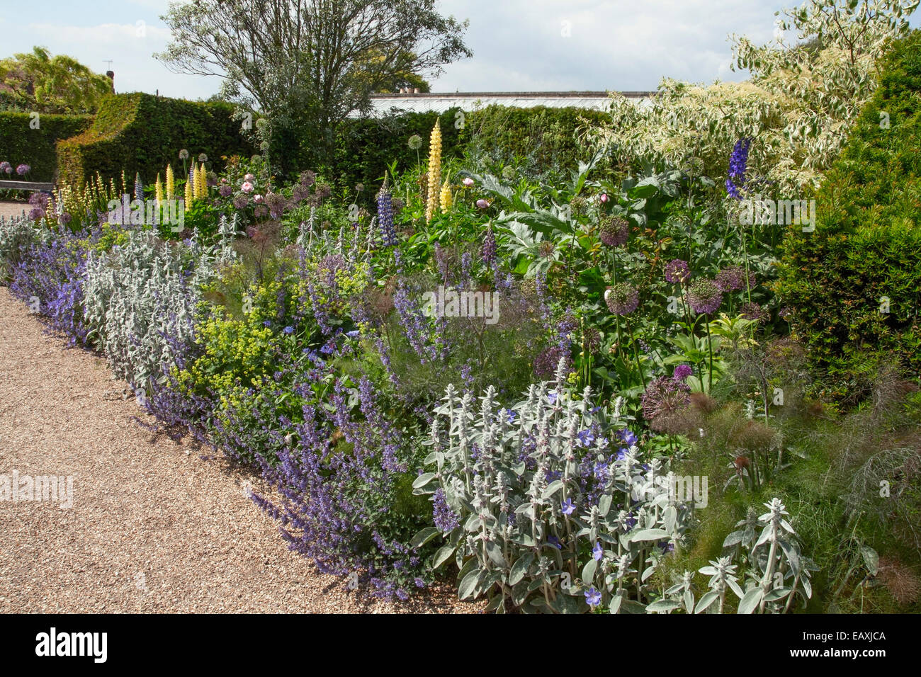 Arundel Castle Tree High Resolution Stock Photography and Images - Alamy