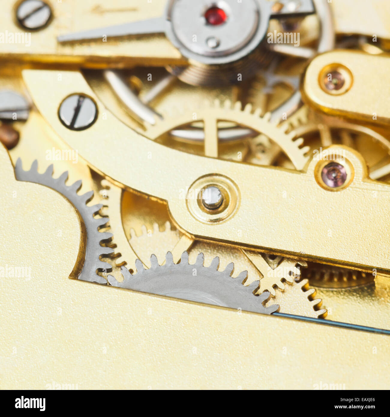 gears of brass mechanical movement of retro watch close up Stock Photo ...