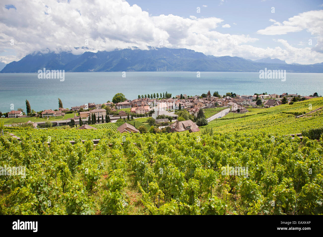 Cully switzerland hi-res stock photography and images - Alamy