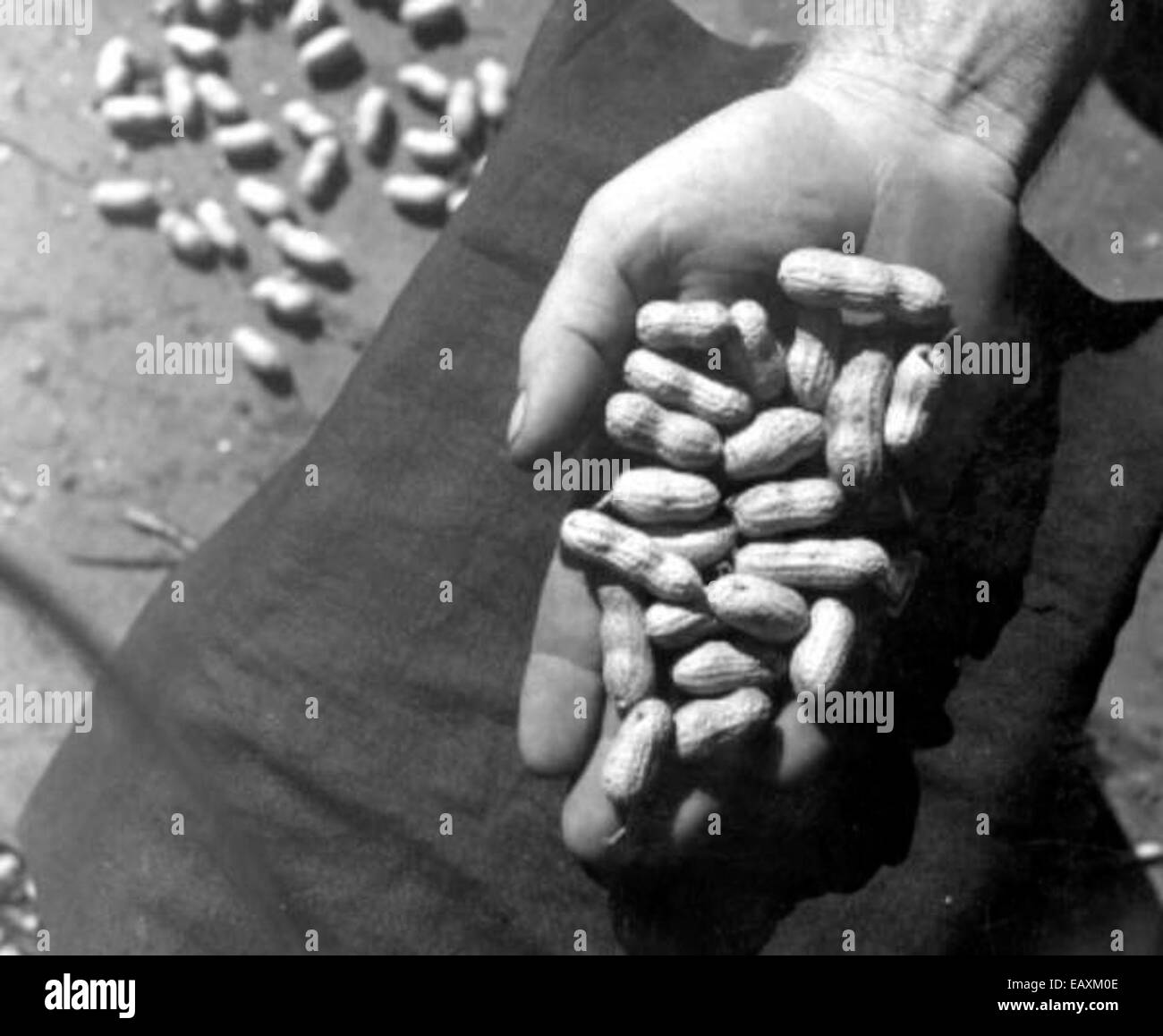 Ancient Peanuts High Resolution Stock Photography and Images - Alamy