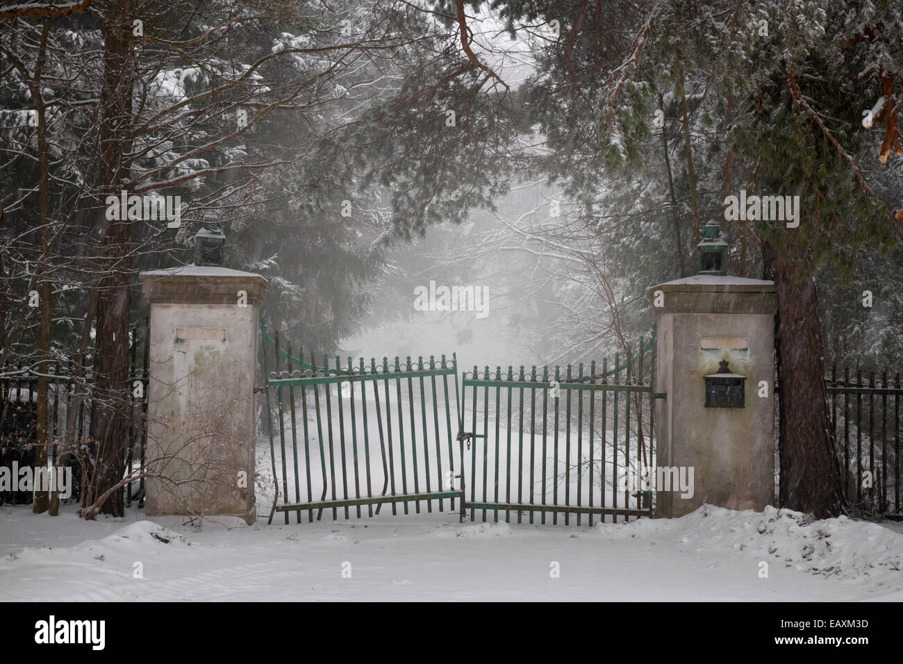 Spooky old broken gate on driveway in winter Stock Photo - Alamy