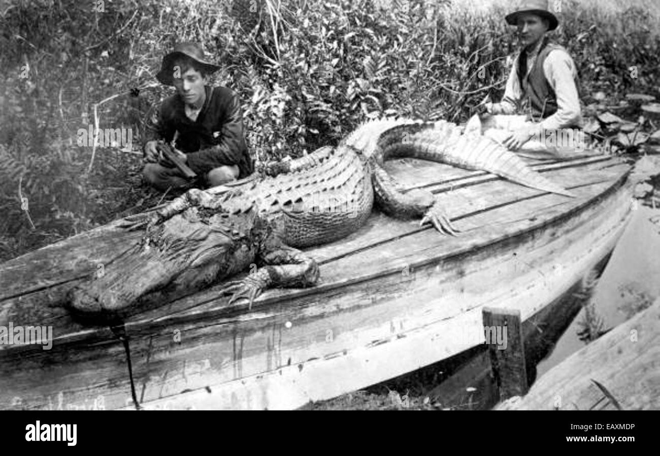 Two hunters Black and White Stock Photos & Images - Alamy