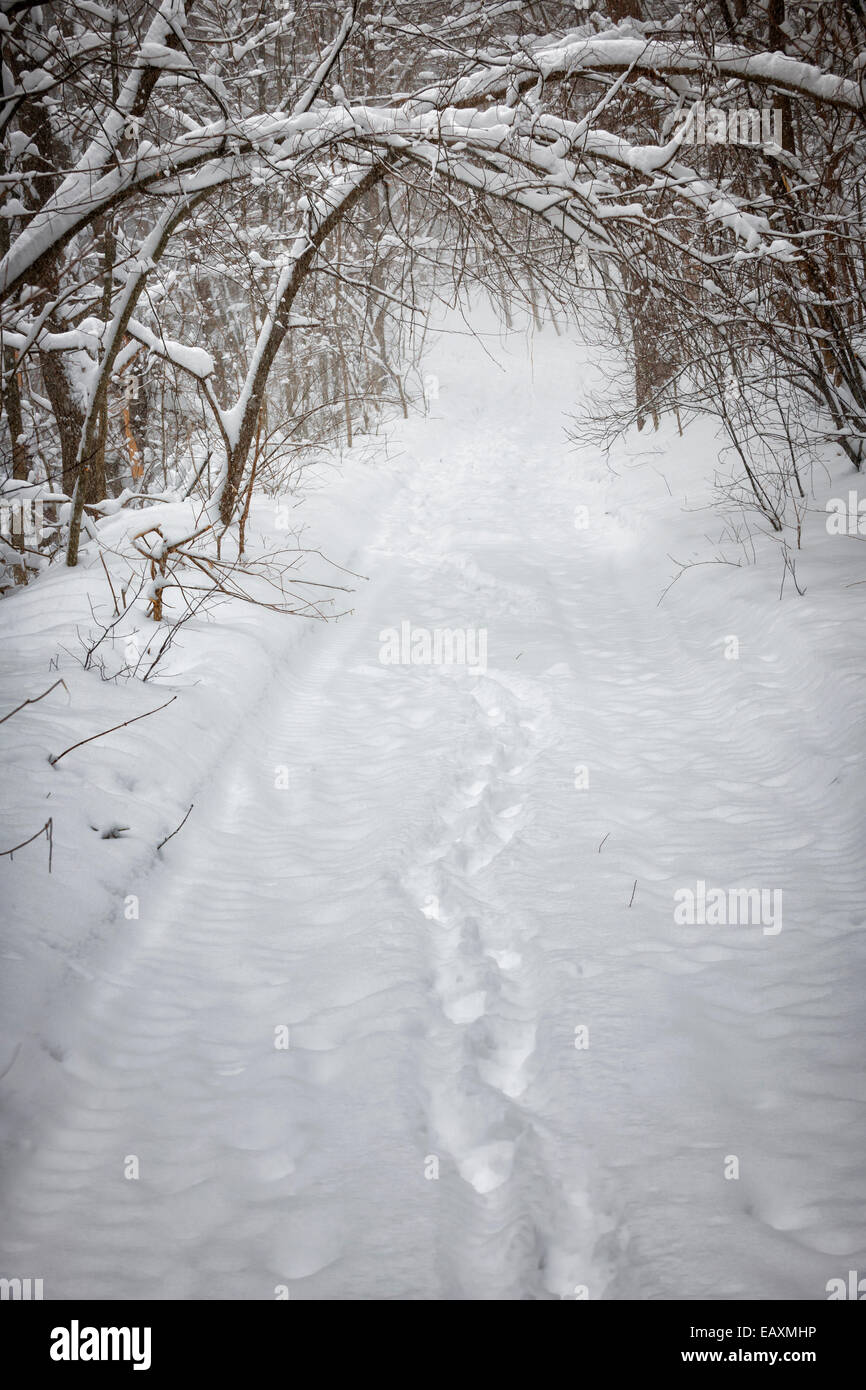 Snowing ontario hi-res stock photography and images - Alamy