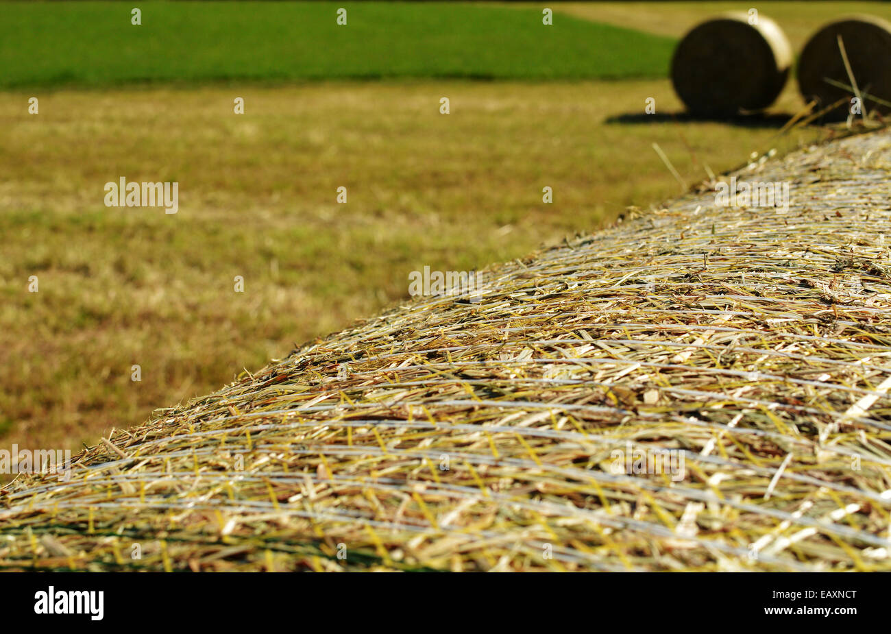 Two straw bales in hi-res stock photography and images - Alamy
