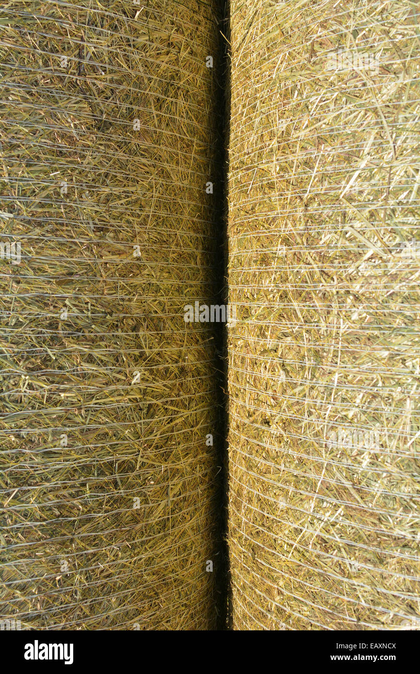 Haystack background focus point is in the middle of the frame Stock ...