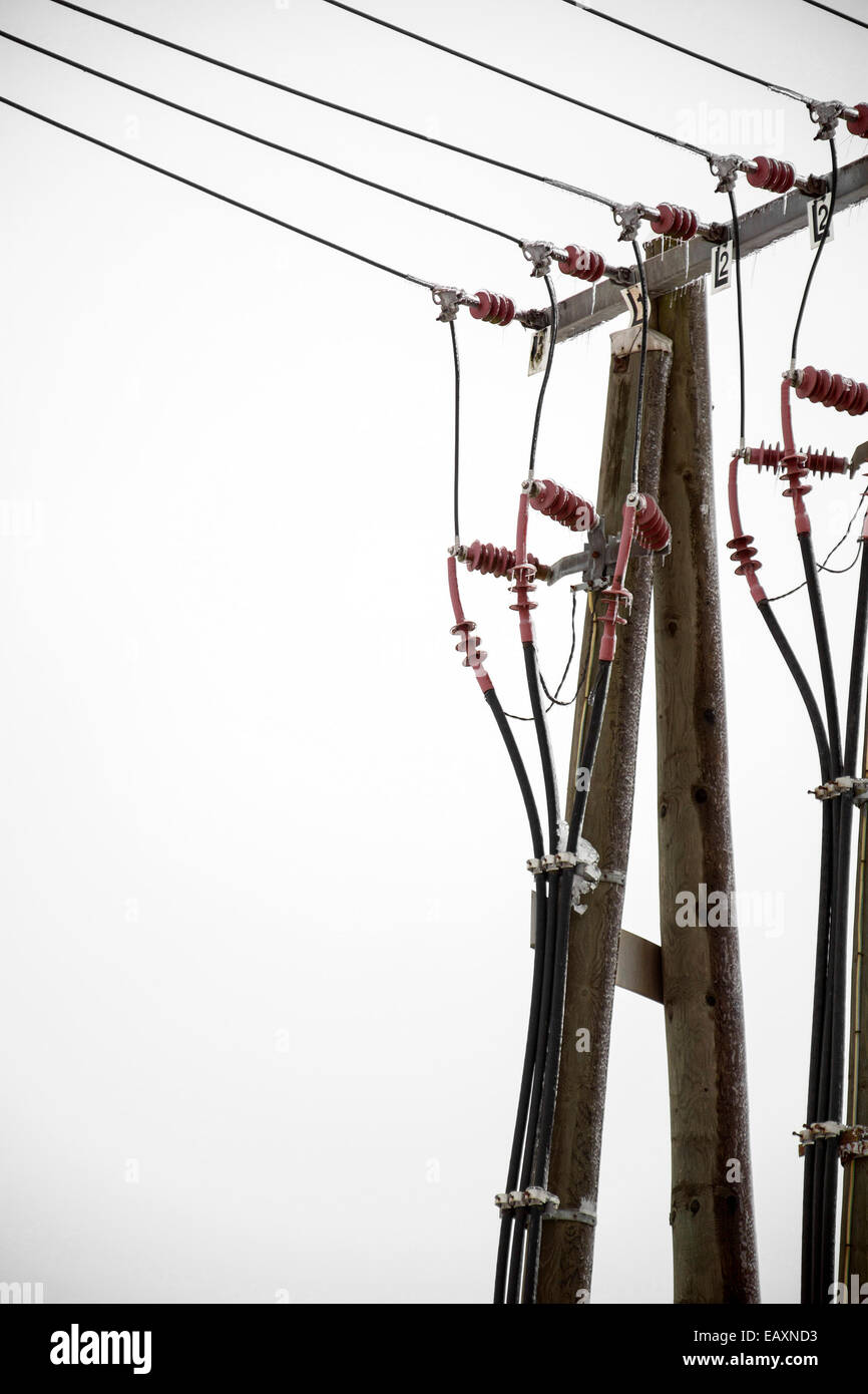 Low power vertical hi-res stock photography and images - Alamy