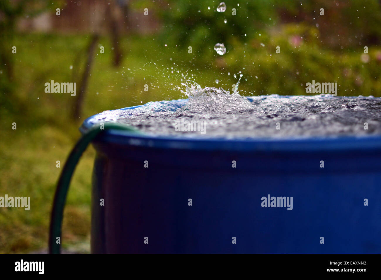Heavy rain makes the barrel flow over Stock Photo - Alamy