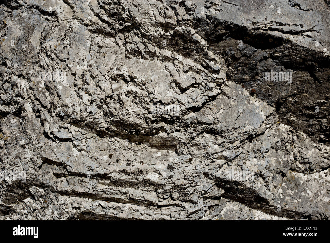 Stone surface texture found hi-res stock photography and images - Alamy