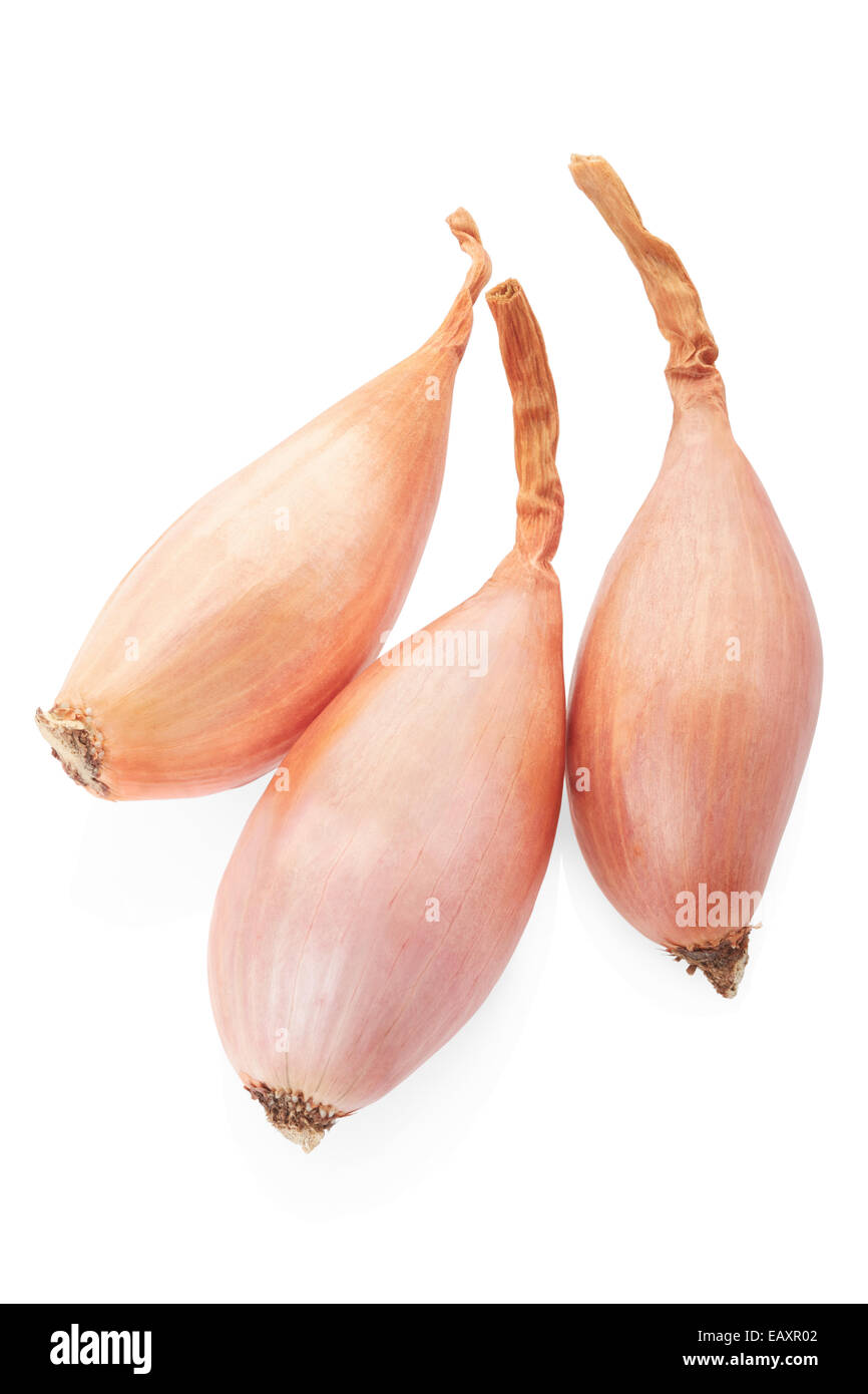 Red shallots Cut Out Stock Images & Pictures - Alamy