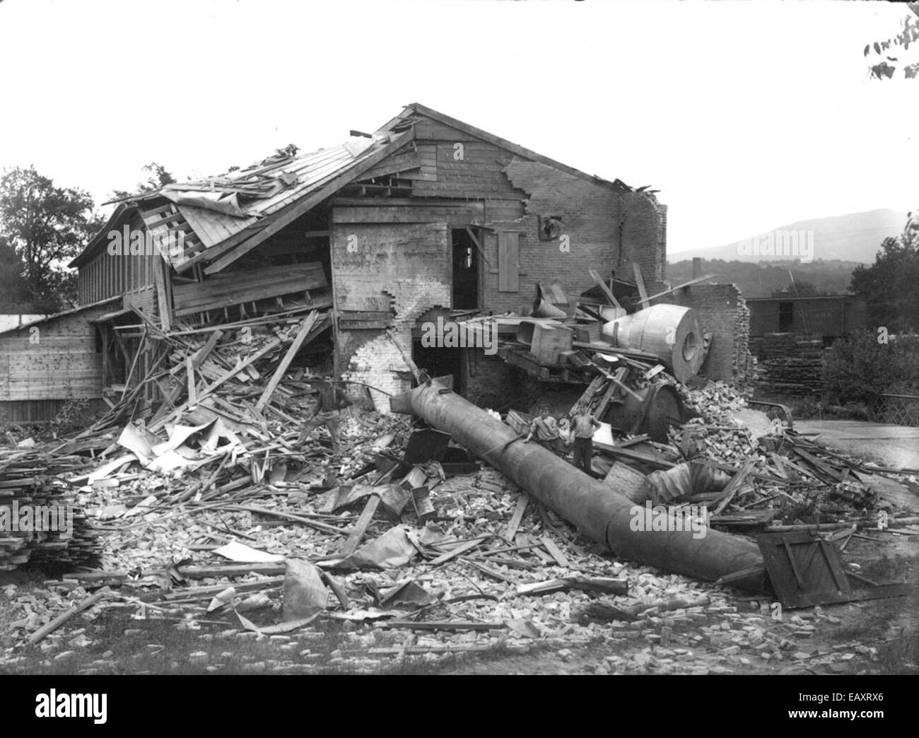 White platts Black and White Stock Photos & Images - Alamy