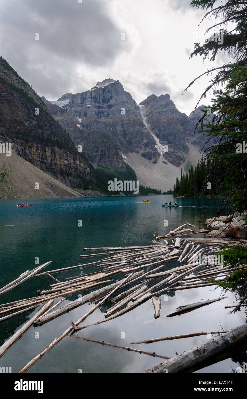 trunks floating on Moraine Lake in Canada Stock Photo - Alamy