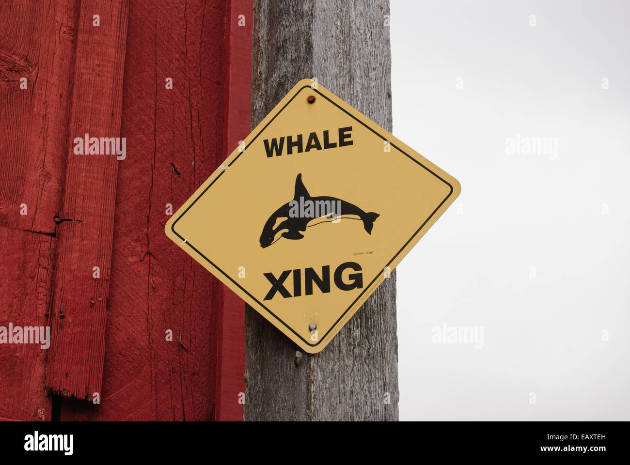 Whale Xing sign in Telegraph Cove, Vancouver Island where killer whale ...