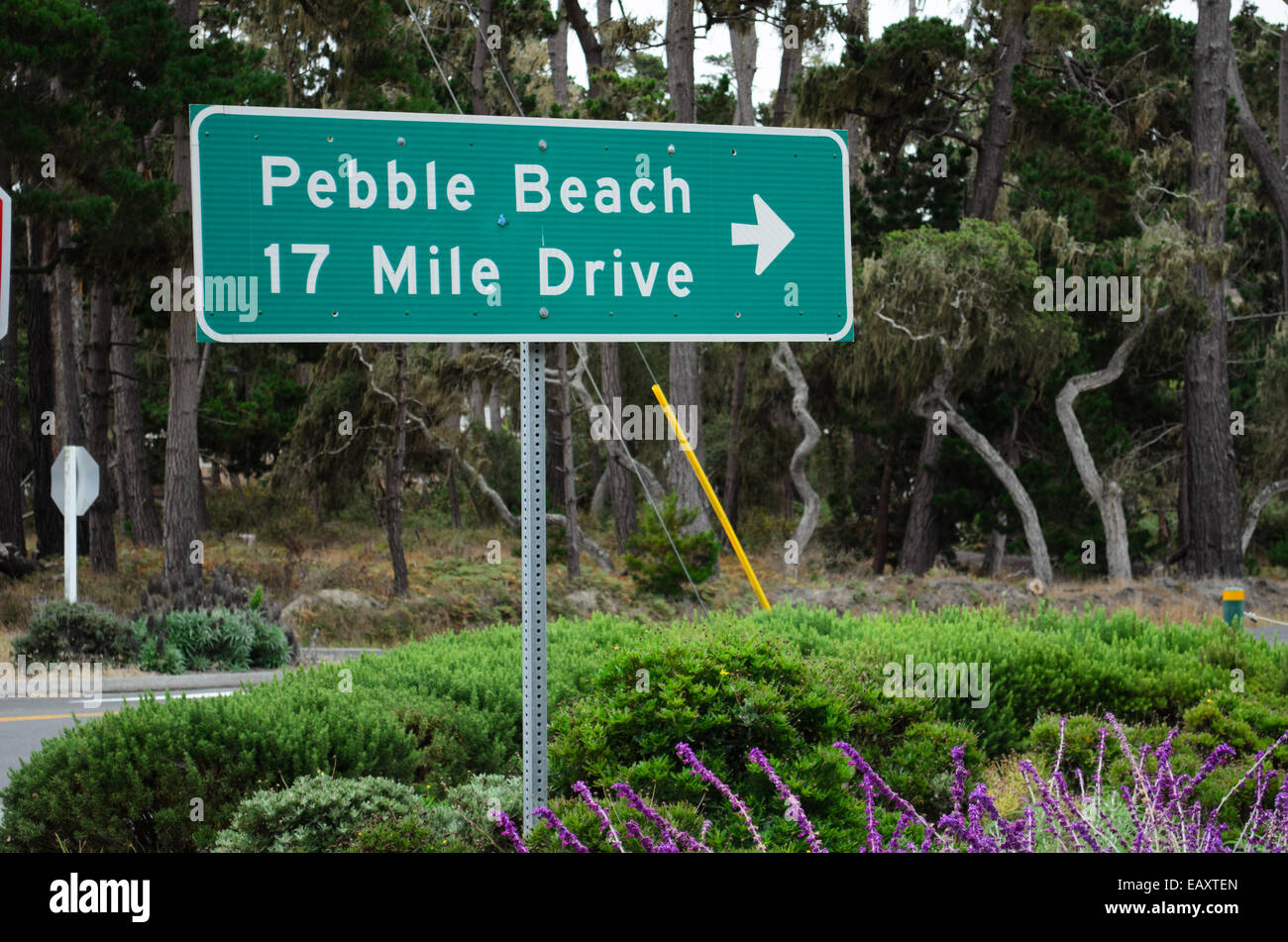 17 mile drive hi-res stock photography and images - Alamy