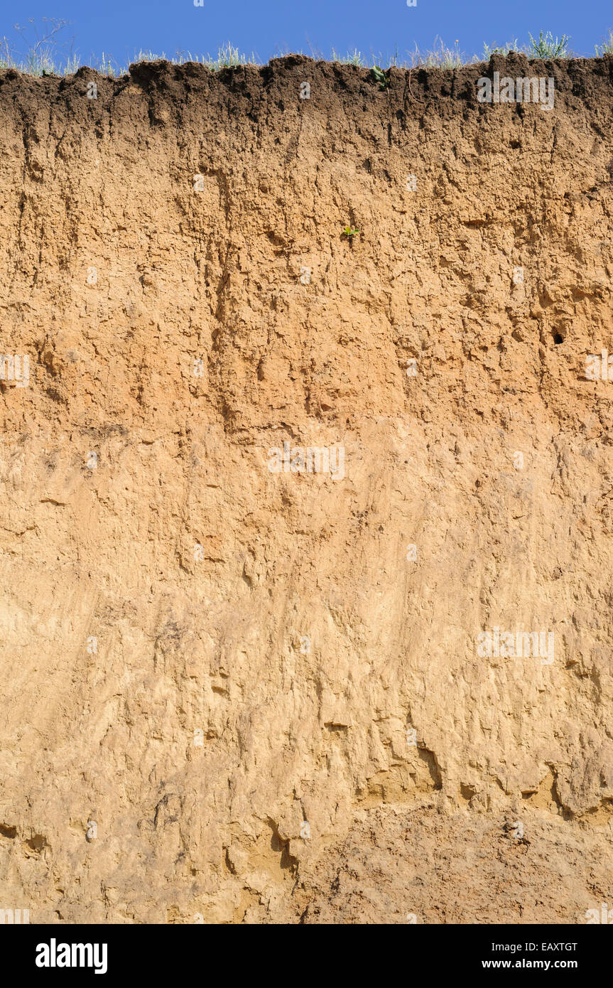 Soil crust hi-res stock photography and images - Alamy