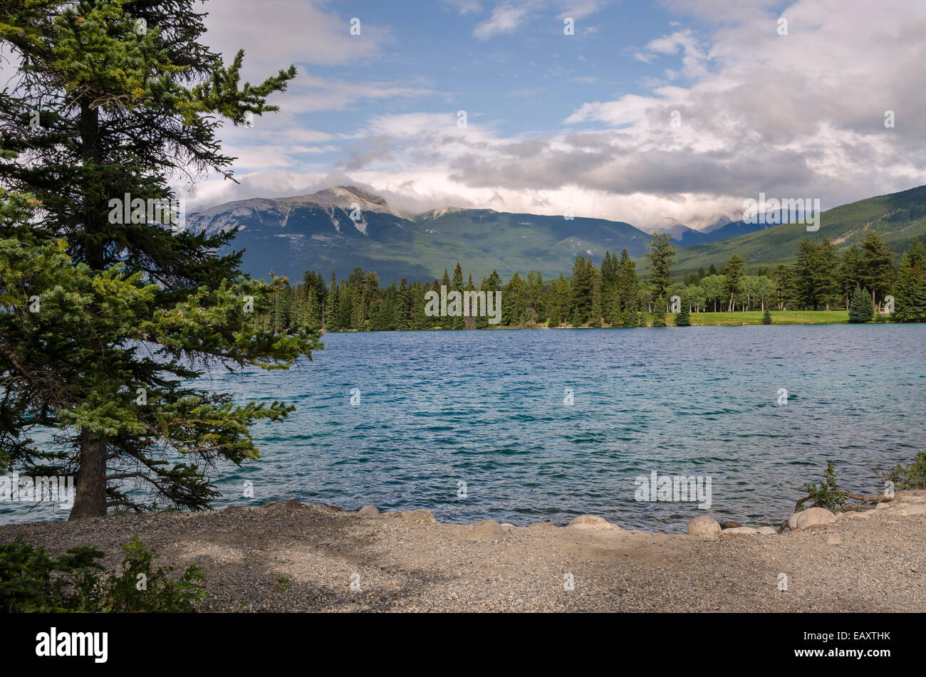 Beauvert lake and trees in Jasper in Canada Stock Photo - Alamy