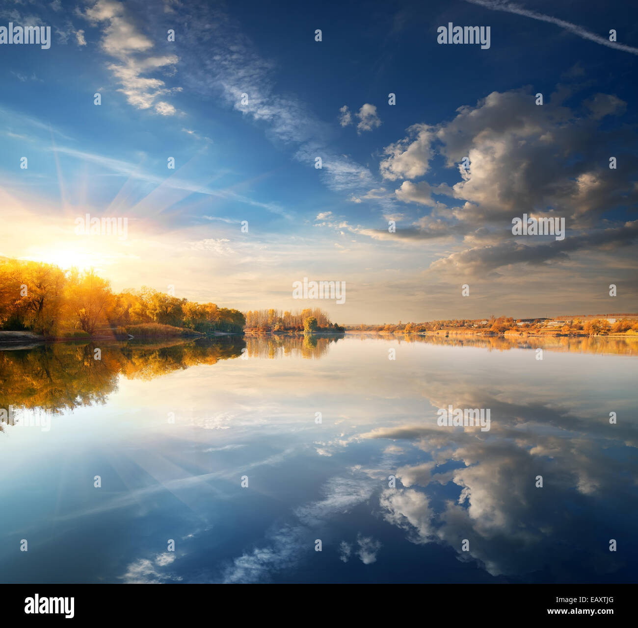 Autumn trees in blue sky hi-res stock photography and images - Alamy