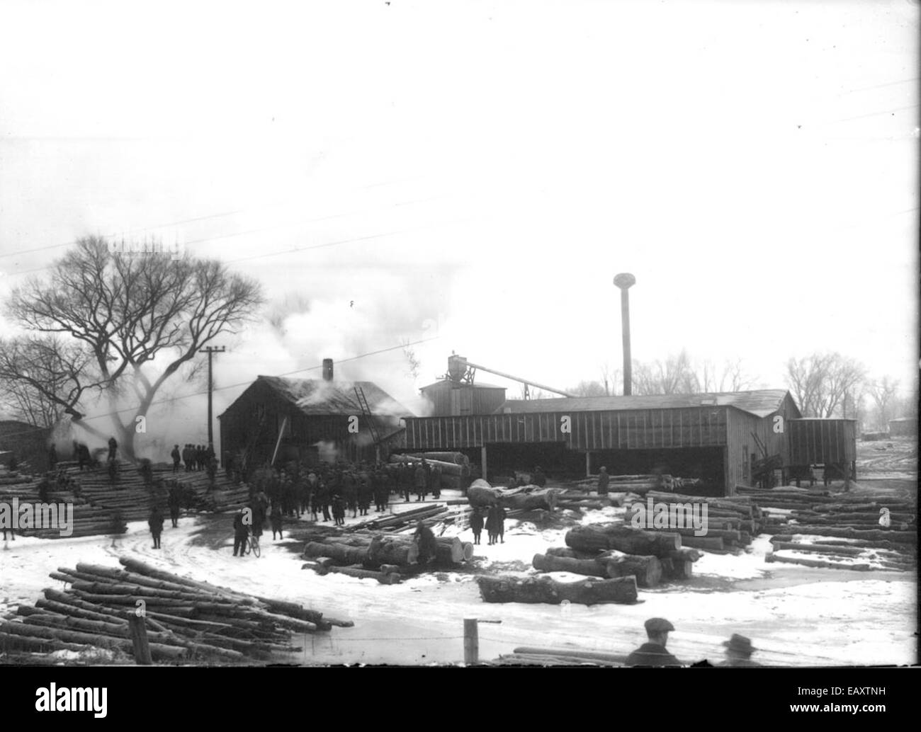 Nh 1 hi-res stock photography and images - Alamy