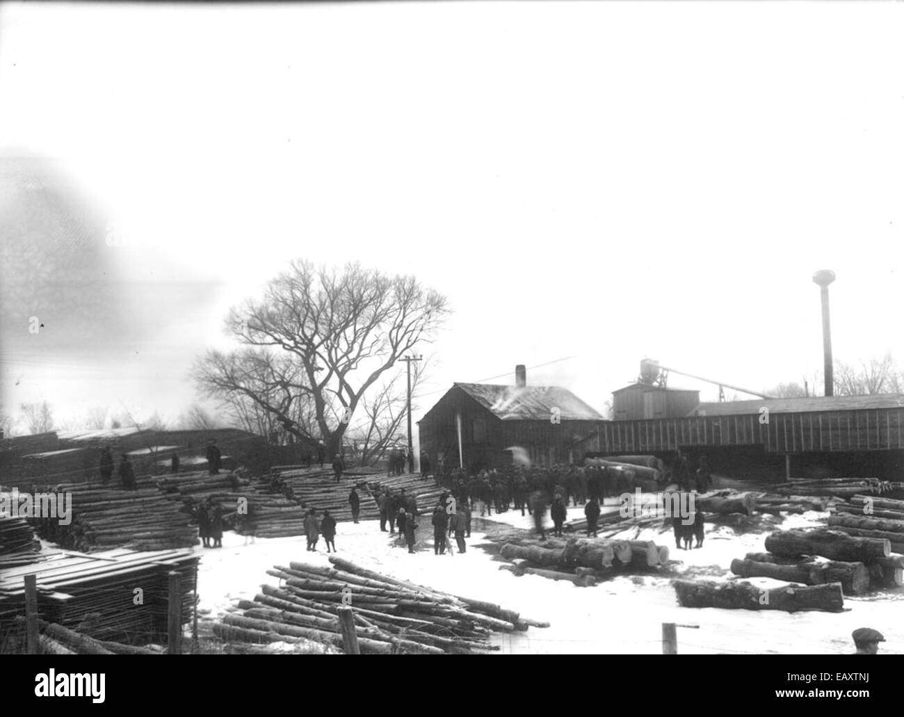 The photograph captures the devastating lumbermill fire in Keene, New ...