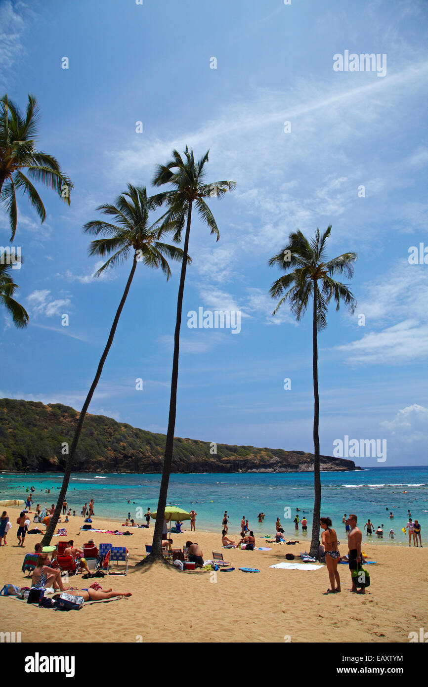 Beach at Hanauma Bay Nature Preserve (in old volcanic crater), Oahu ...