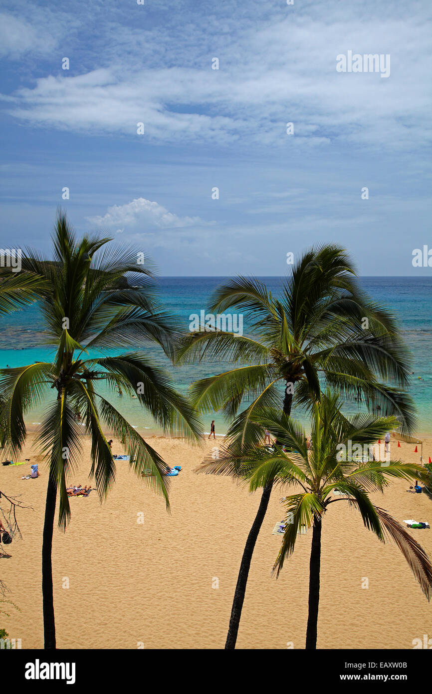 Beach at Hanauma Bay Nature Preserve, Oahu, Hawaii, USA Stock Photo - Alamy