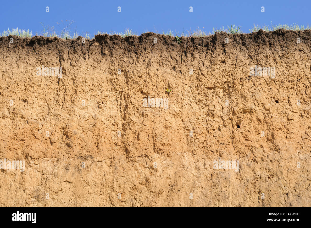 Layered cut of soil Stock Photo - Alamy