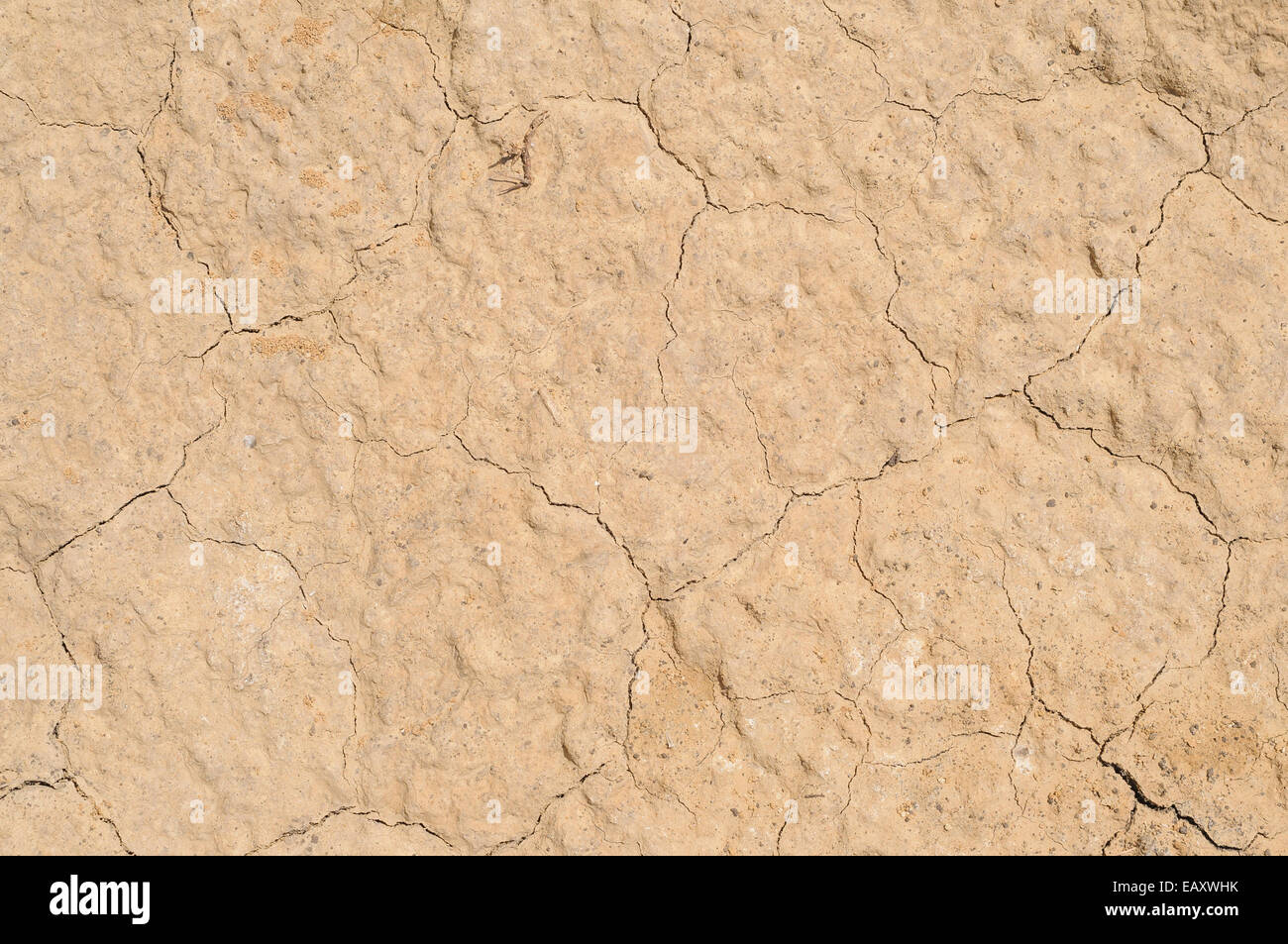 Clay soil texture background, dried surface Stock Photo - Alamy