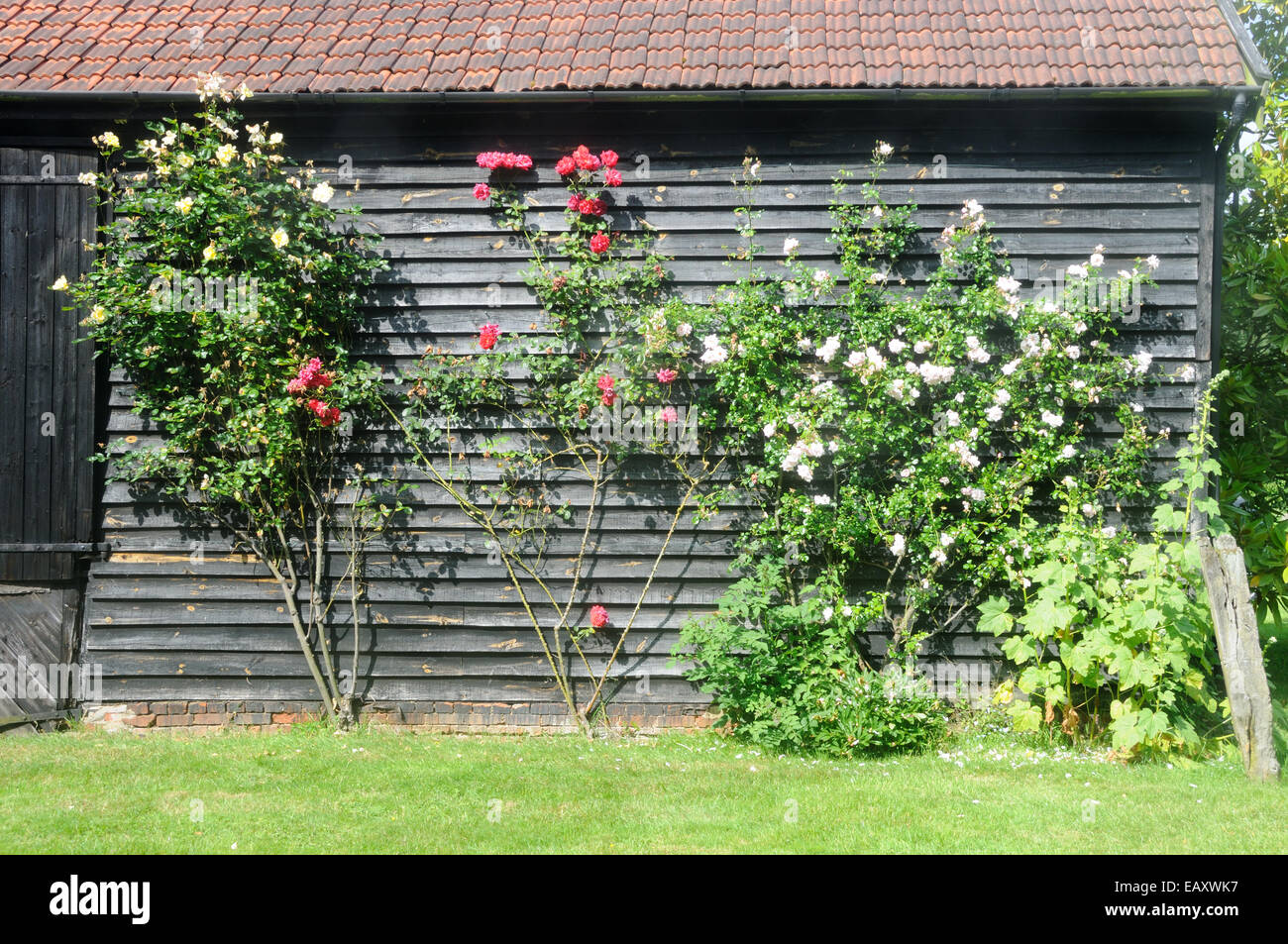 Weatherboarded hi-res stock photography and images - Alamy