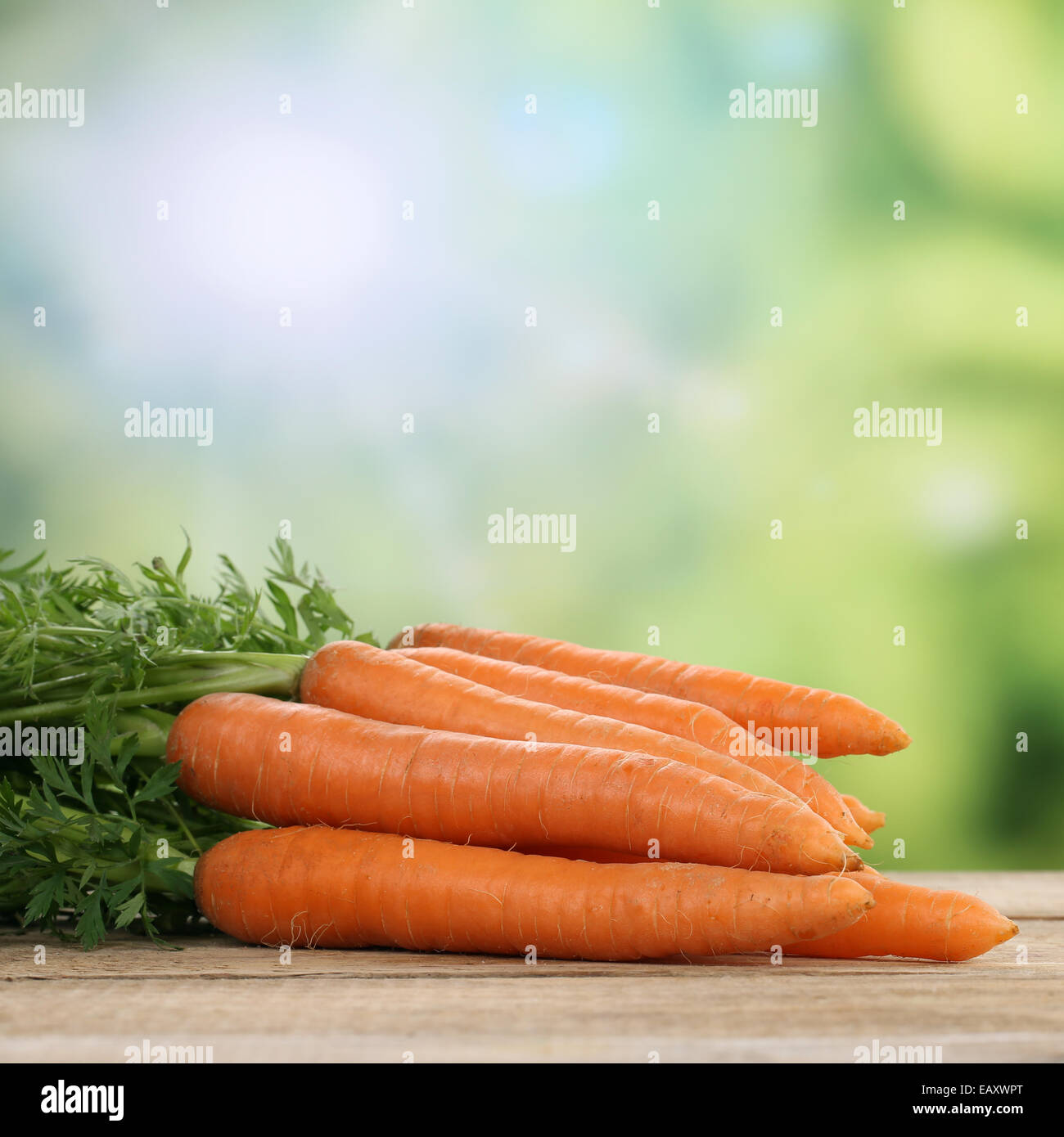 Fresh carrots vegetables in summer on a wooden board Stock Photo - Alamy