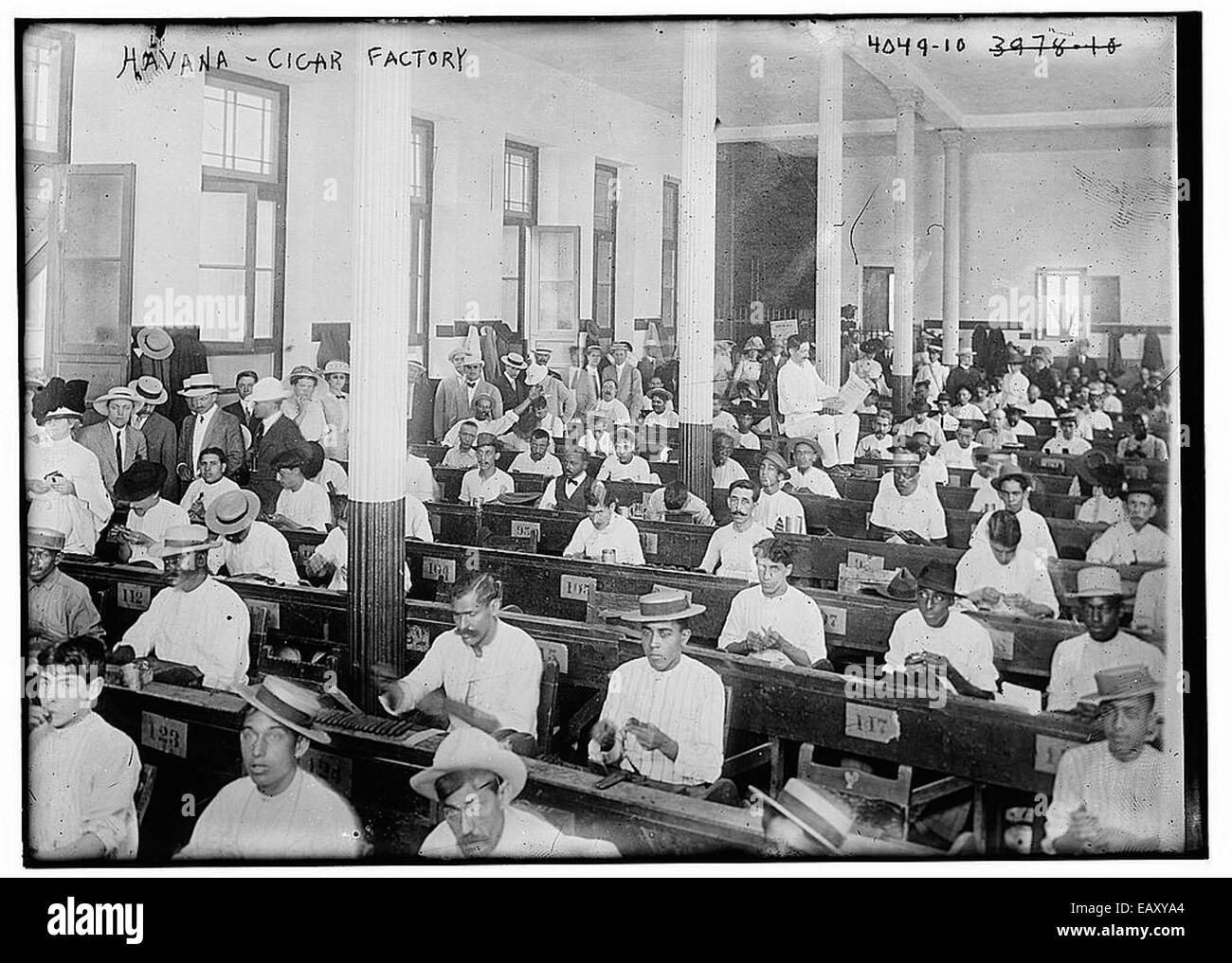 The image shows a bustling cigar factory in Havana, illustrating the ...