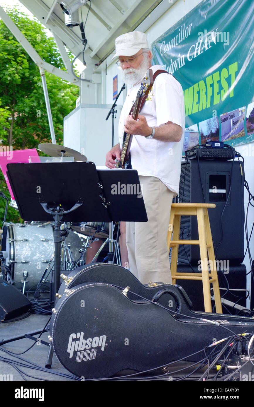 Bass player during a performance in a park in Toronto, Canada Stock ...