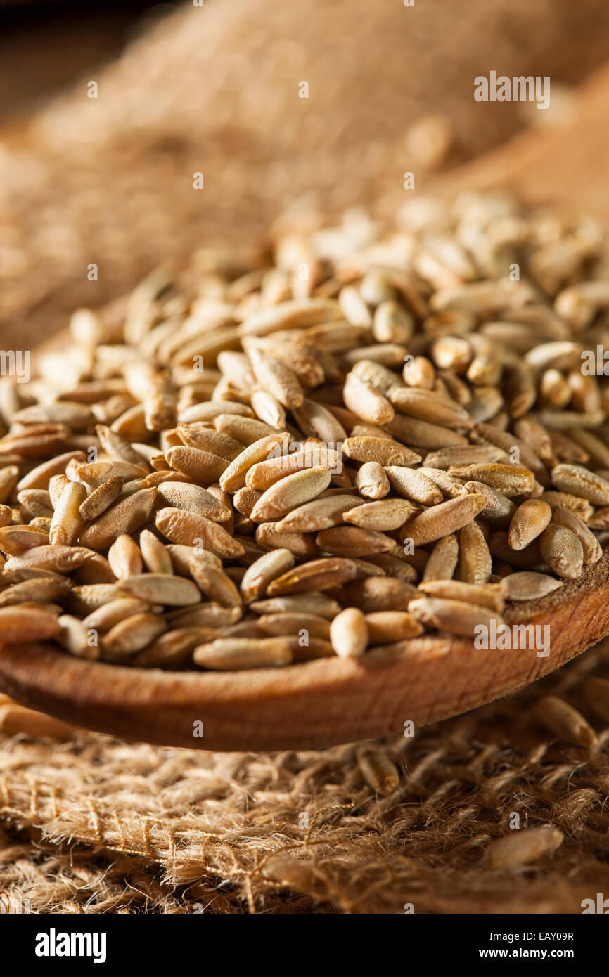 Raw rye hi-res stock photography and images - Alamy