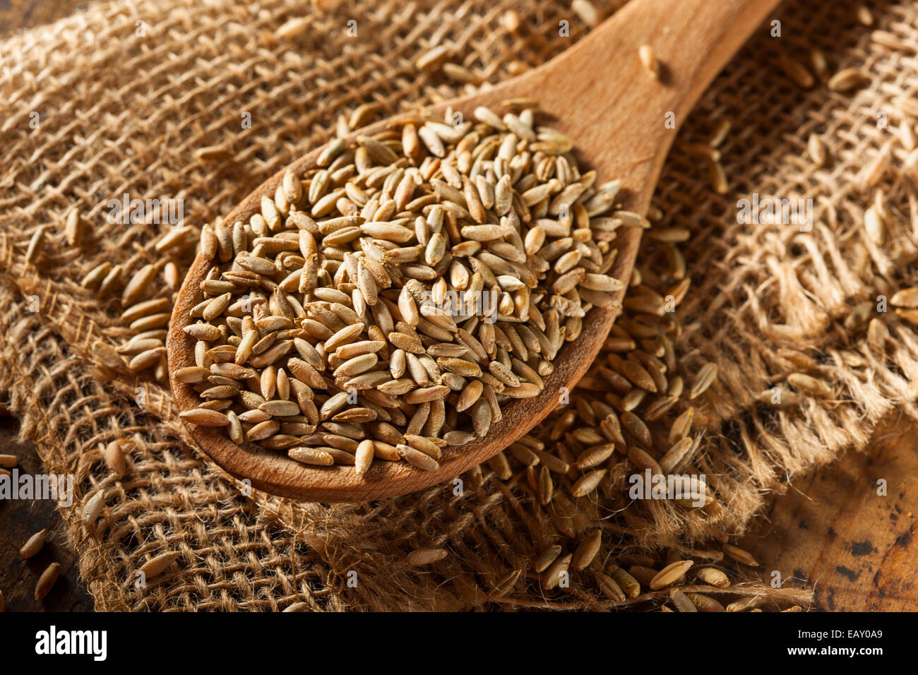Organic Dry Raw Rye Grain in a Spoon Stock Photo - Alamy