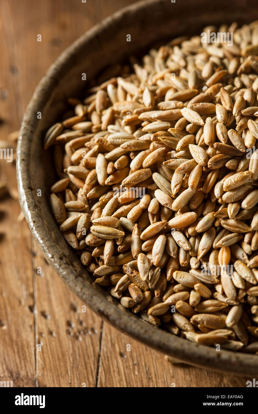 Cereal grain rye hi-res stock photography and images - Alamy