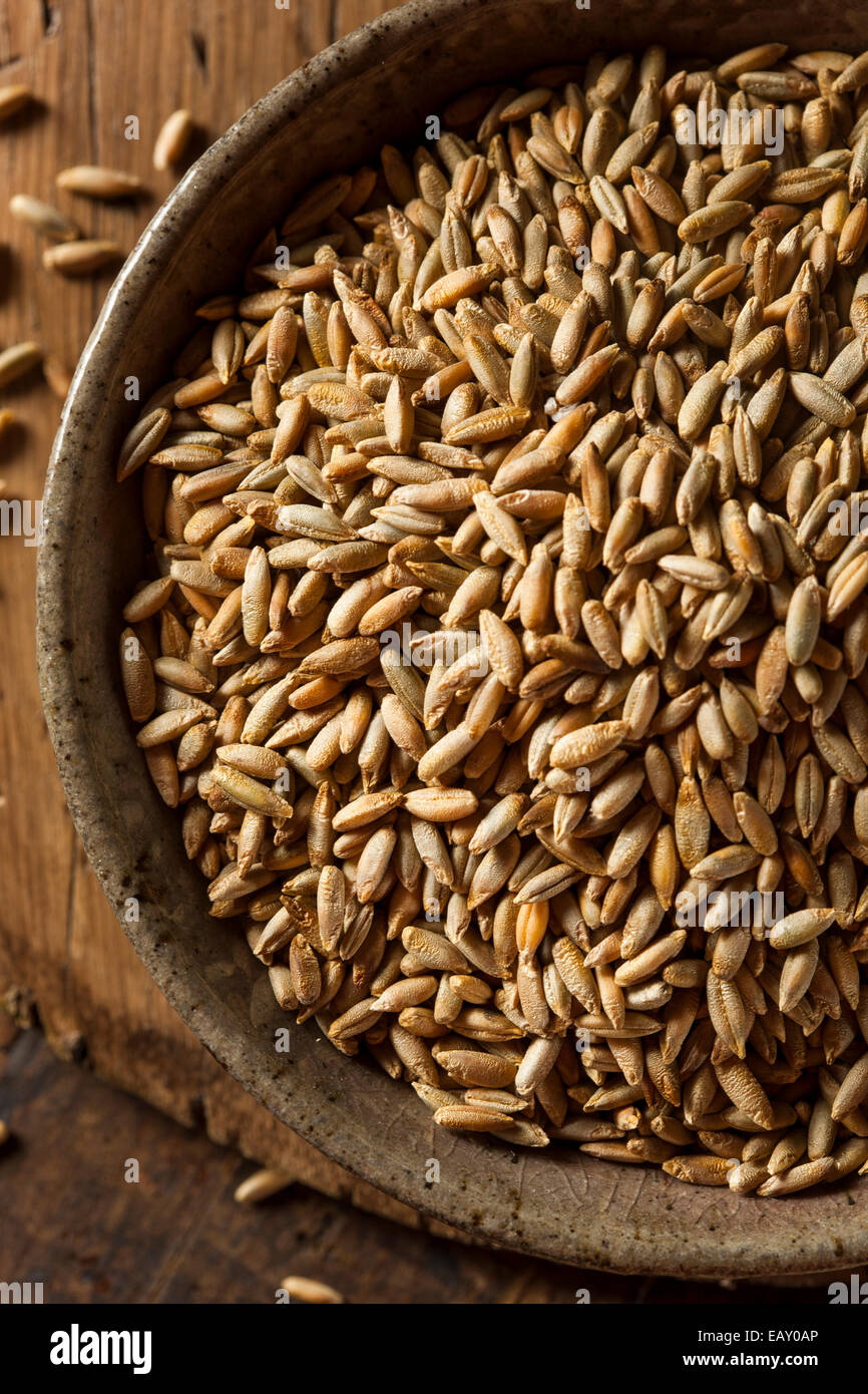 Organic Dry Raw Rye Grain in a Spoon Stock Photo - Alamy
