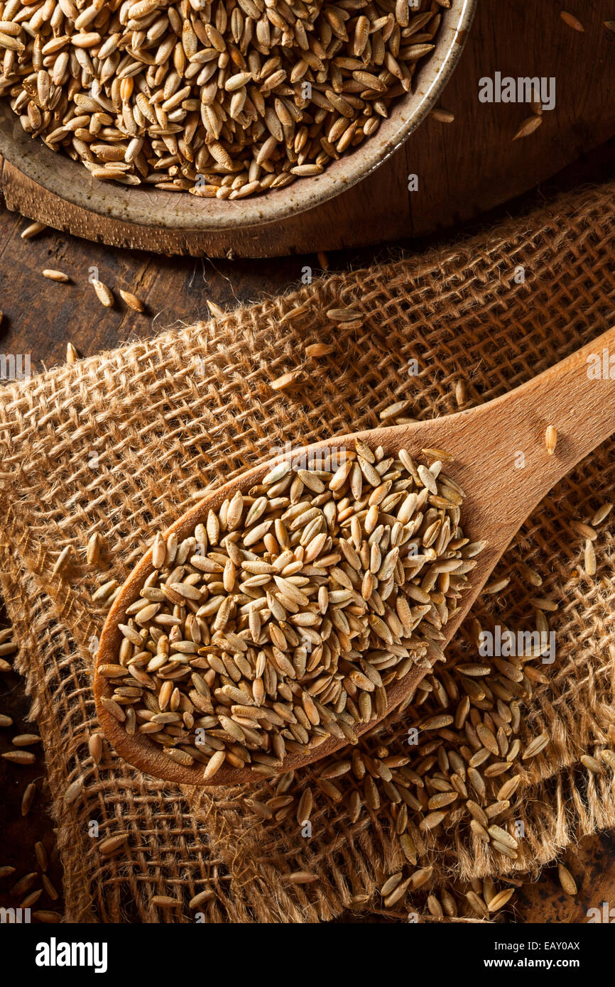Organic Dry Raw Rye Grain in a Spoon Stock Photo - Alamy