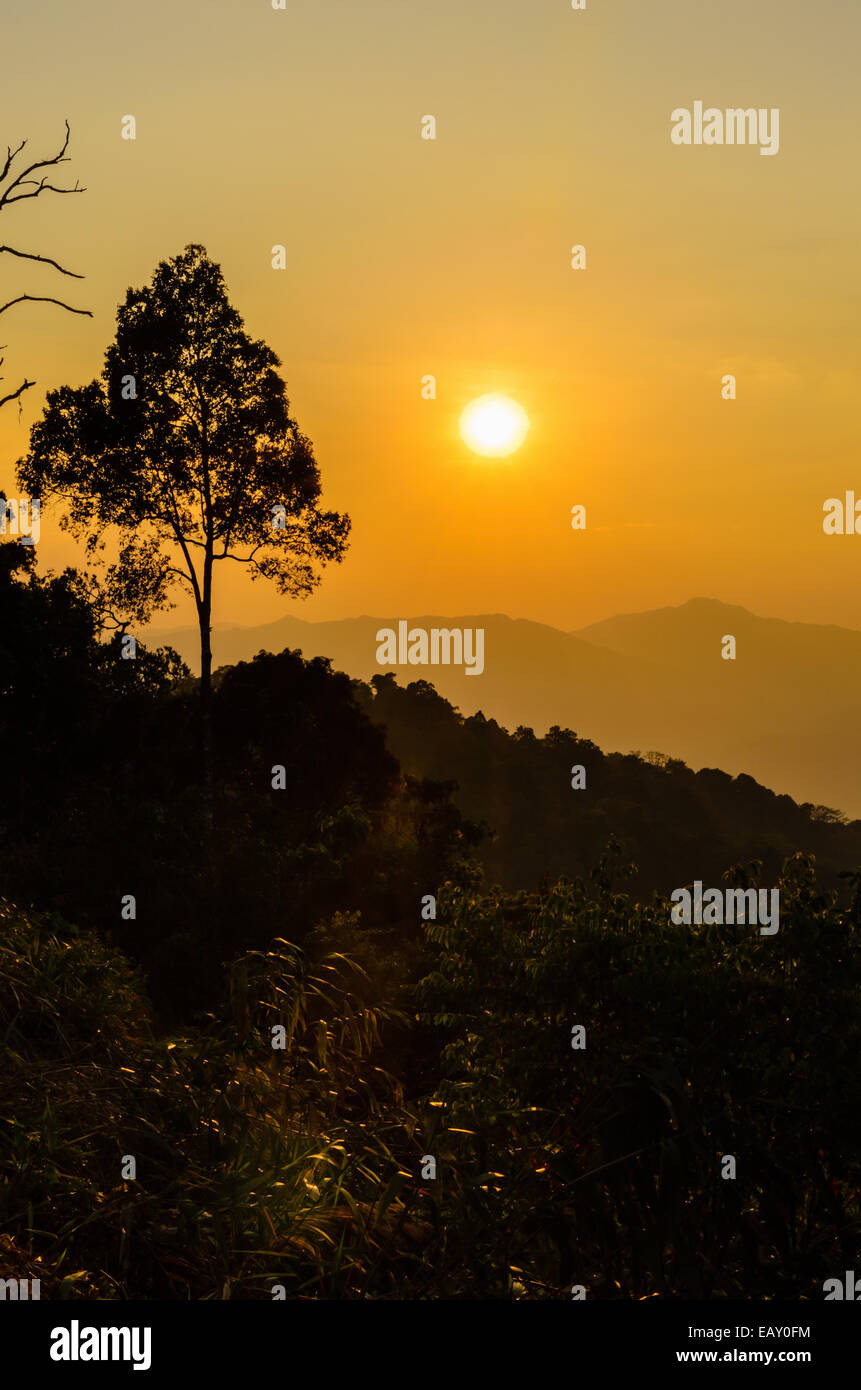 Golden light at sunset hi-res stock photography and images - Alamy